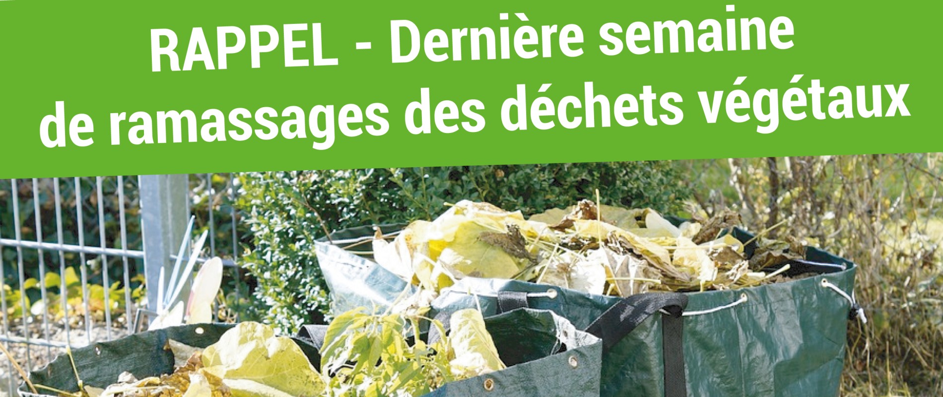Les végétaux et le compost